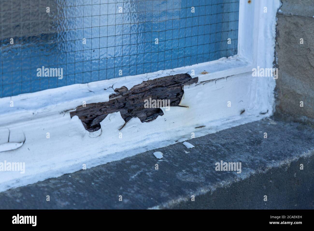 Rotting window frames. Old wooden, painted window frames in need of ...