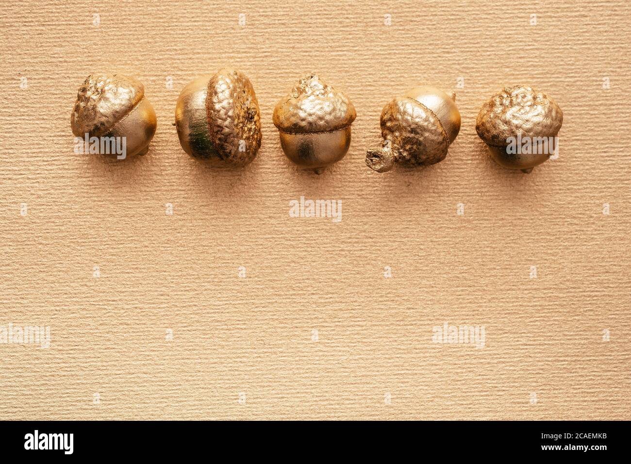 autumn background with golden acorns Stock Photo - Alamy