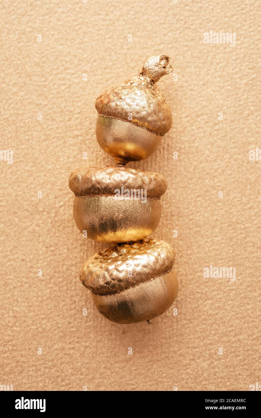 autumn background with golden acorns Stock Photo - Alamy