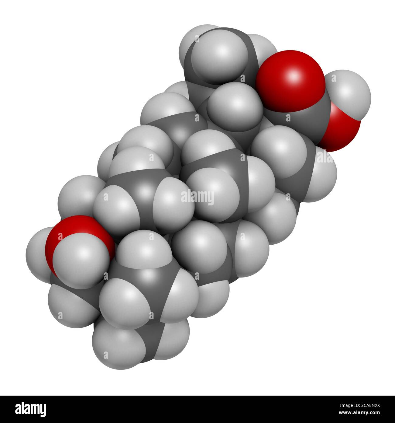 Ursolic acid molecule. Triterpenoid present in fruit peels. 3D ...