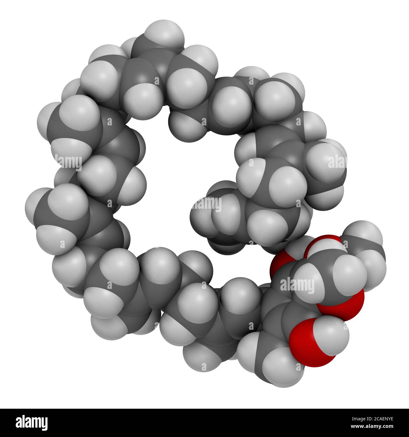 Ubiquinol molecule. Reduced form of coenzyme Q10. 3D rendering. Atoms ...