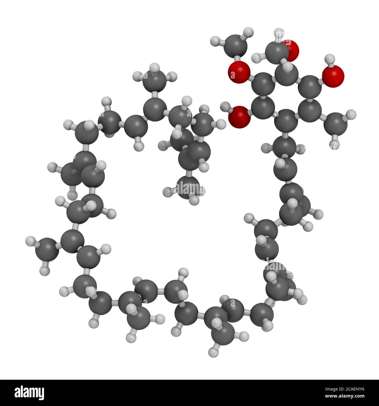 Ubiquinol molecule. Reduced form of coenzyme Q10. 3D rendering. Atoms ...