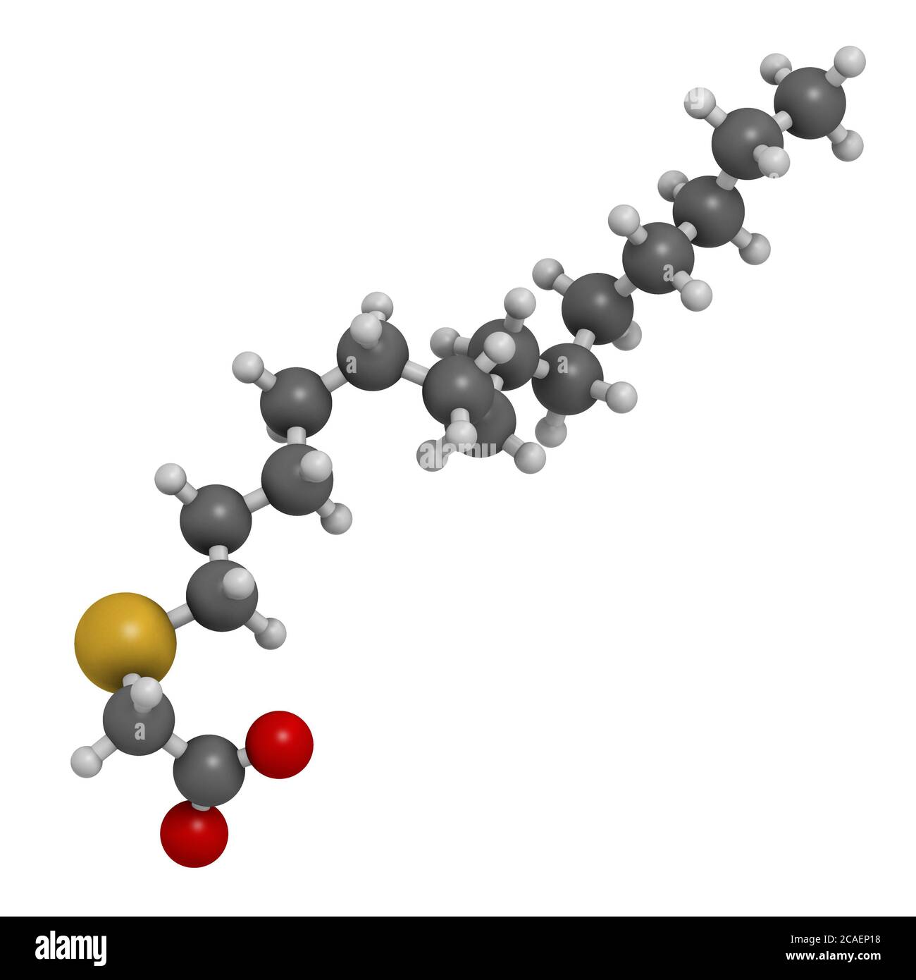 Tetradecylthioacetic acid molecule. 3D rendering. Atoms are represented ...
