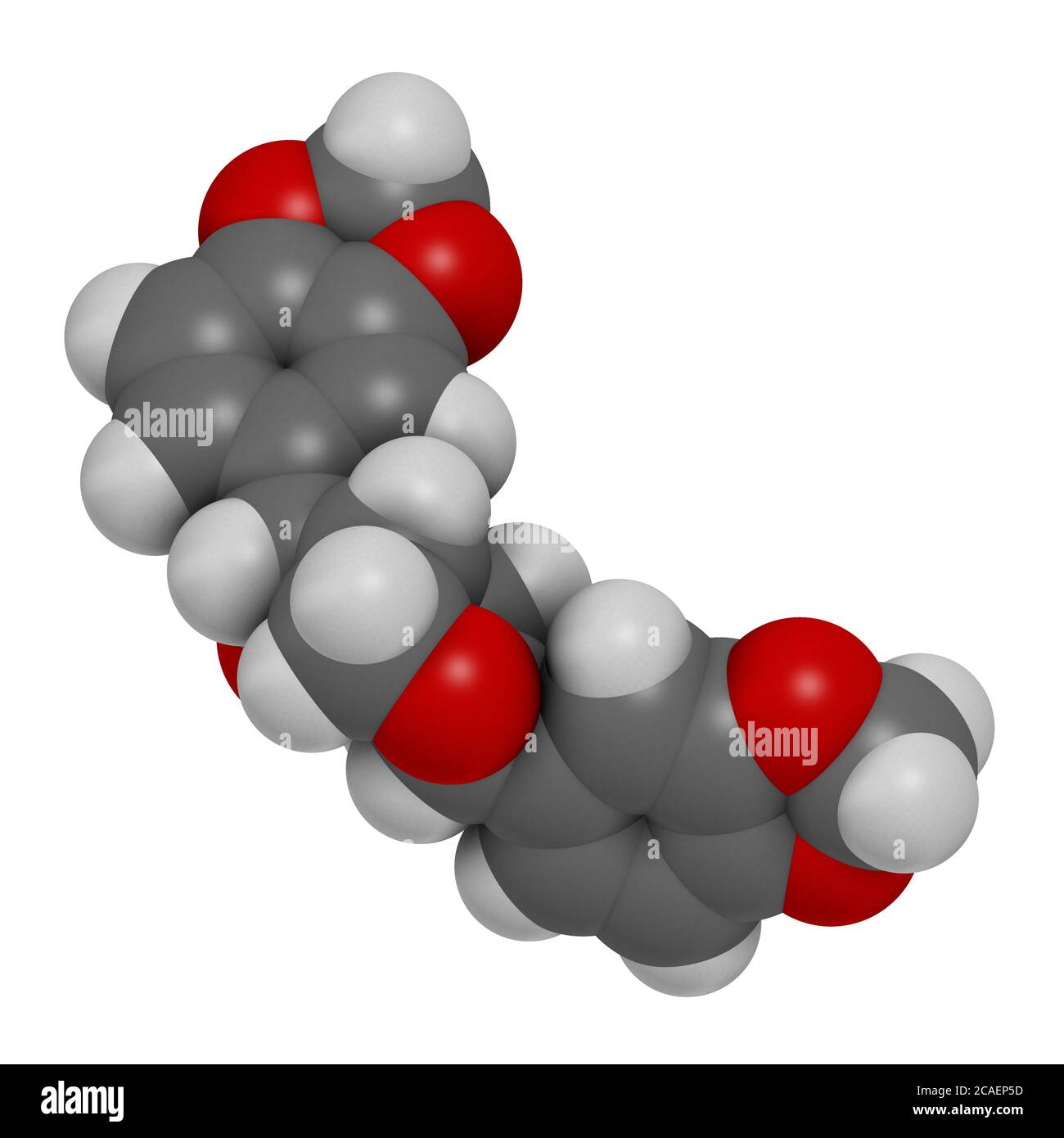 Sesamin molecule. Lignan present in sesame oil. 3D rendering. Atoms are ...