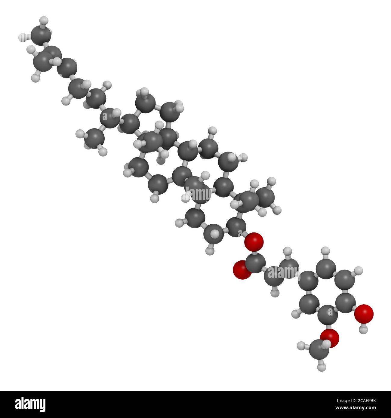 Cycloartenyl ferulate or oryzanol A molecule. Major component of gamma ...
