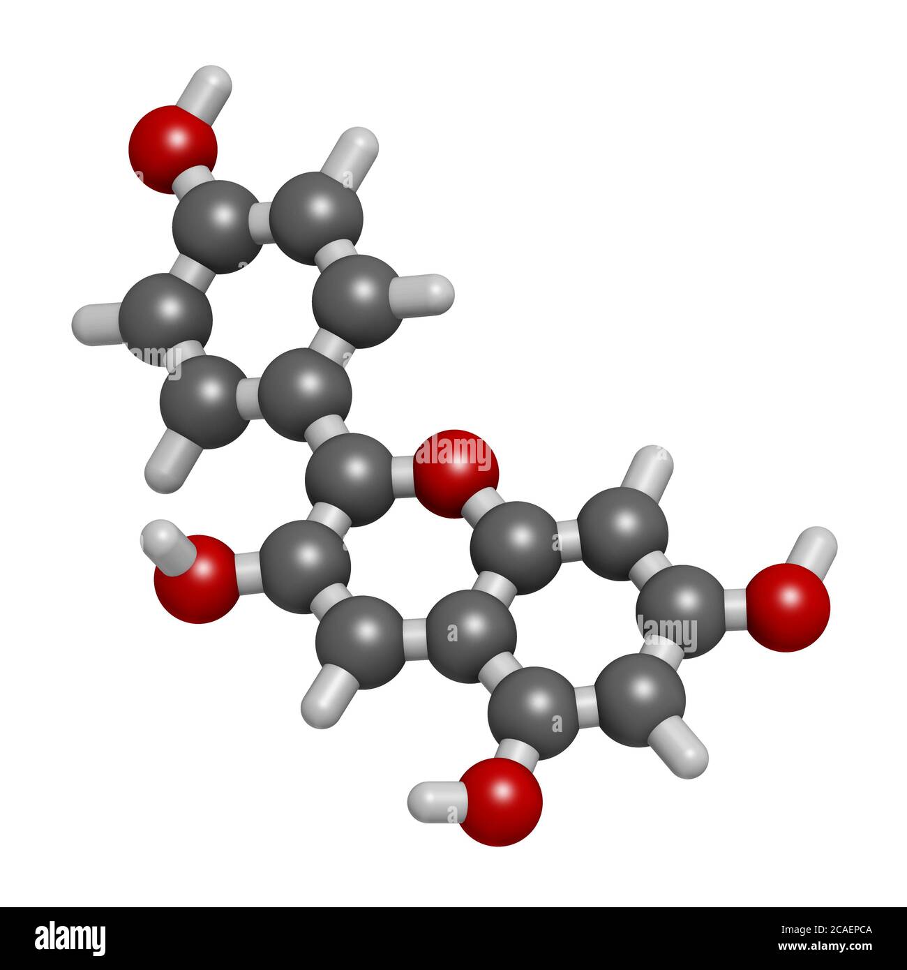 Pelargonidin pigment molecule. 3D rendering. Atoms are represented as ...