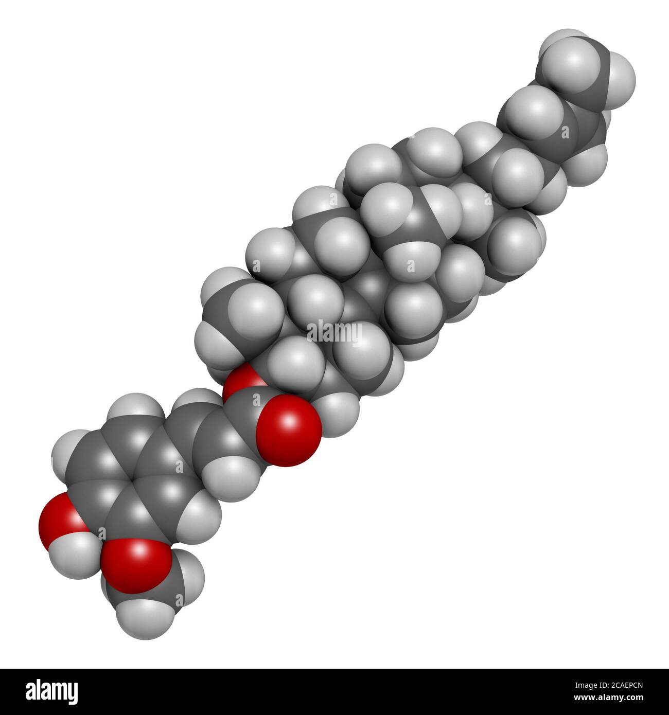 Cycloartenyl ferulate or oryzanol A molecule. Major component of gamma ...