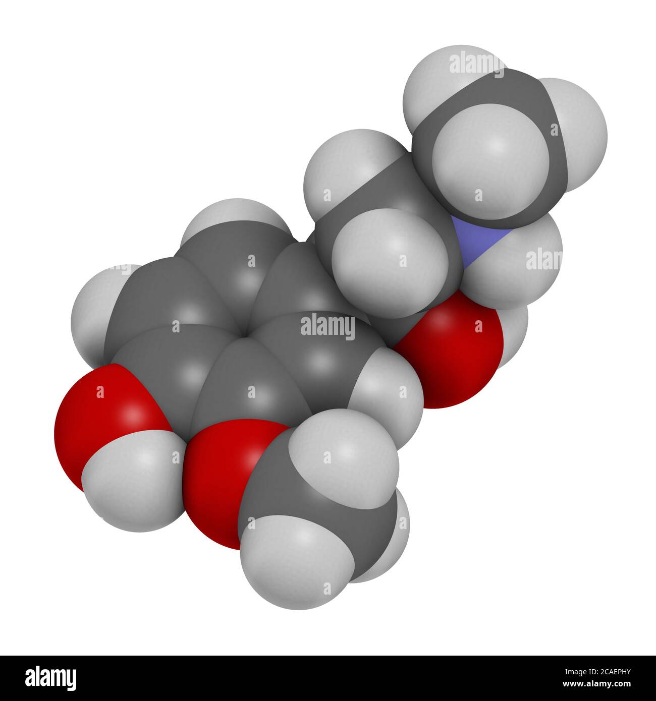 Metanephrine (metadrenaline) molecule. Metabolite of epinephrine that ...