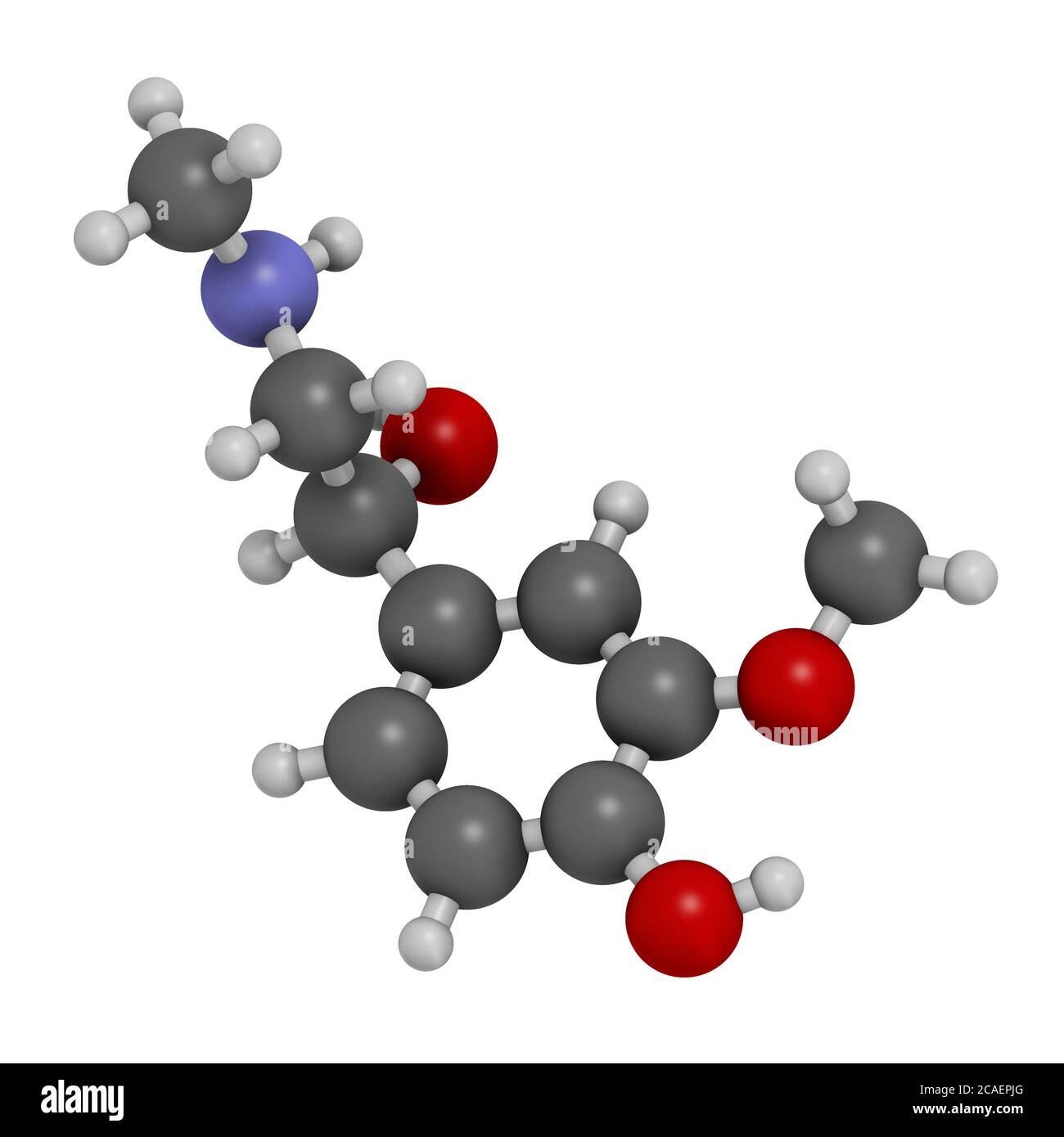 Metanephrine (metadrenaline) molecule. Metabolite of epinephrine that ...