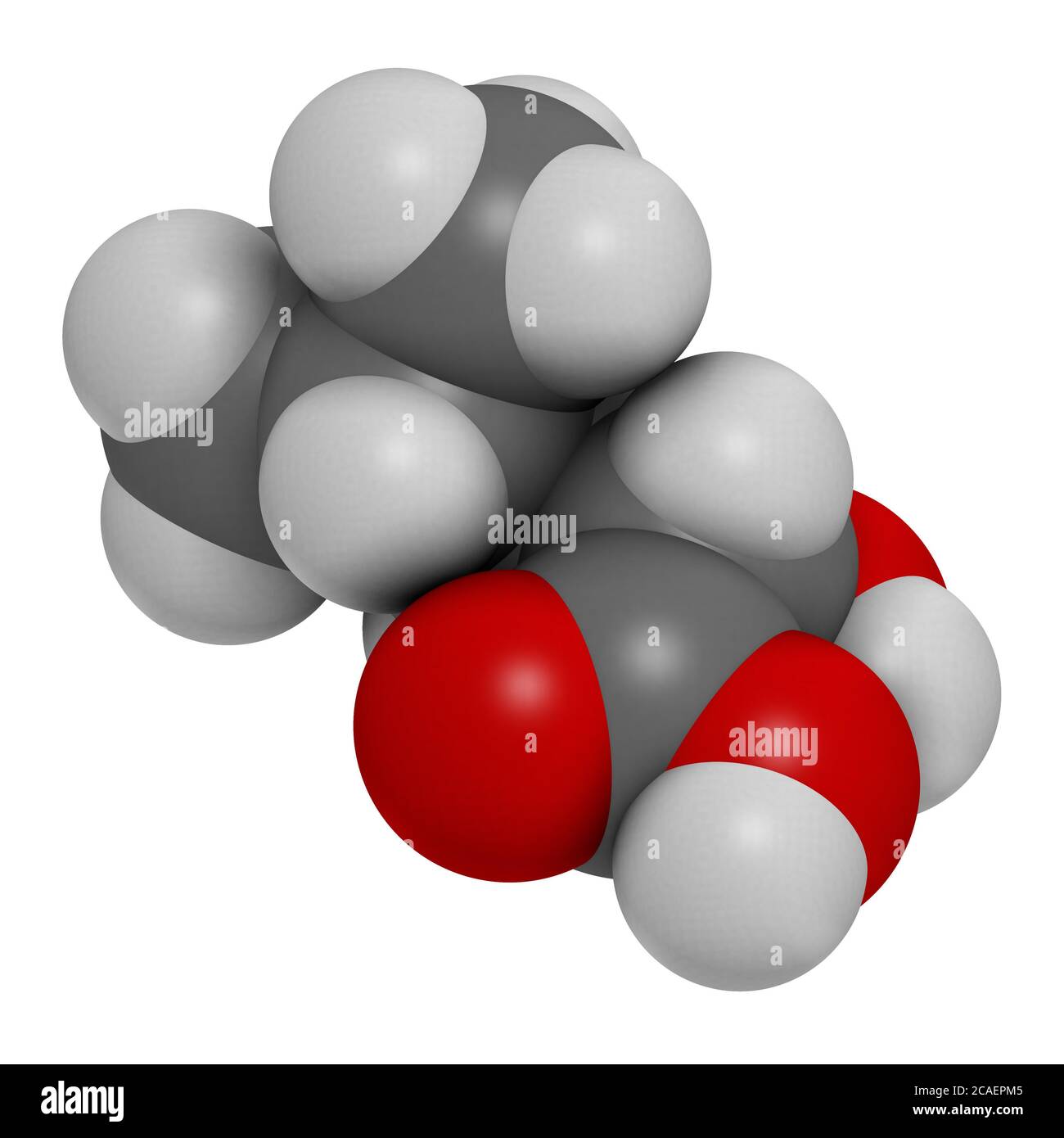 Leucic acid or HICA molecule. 3D rendering. Atoms are represented as ...