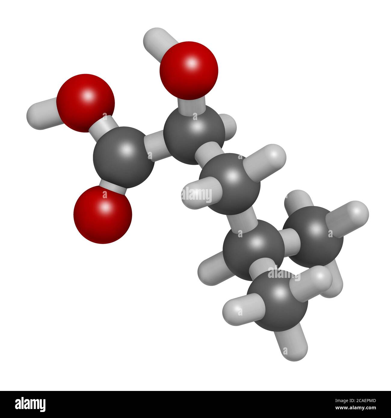 Leucic hi-res stock photography and images - Alamy