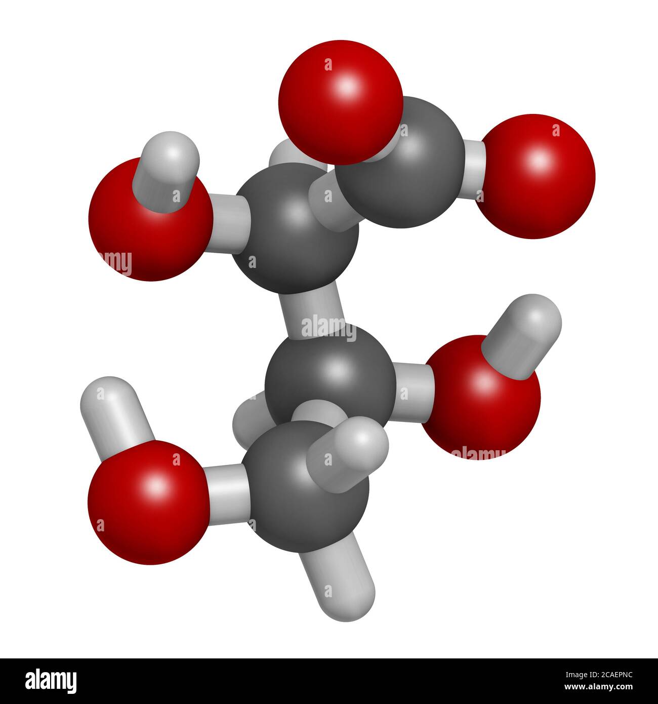 L-Threonic acid molecule. 3D rendering. Atoms are represented as ...