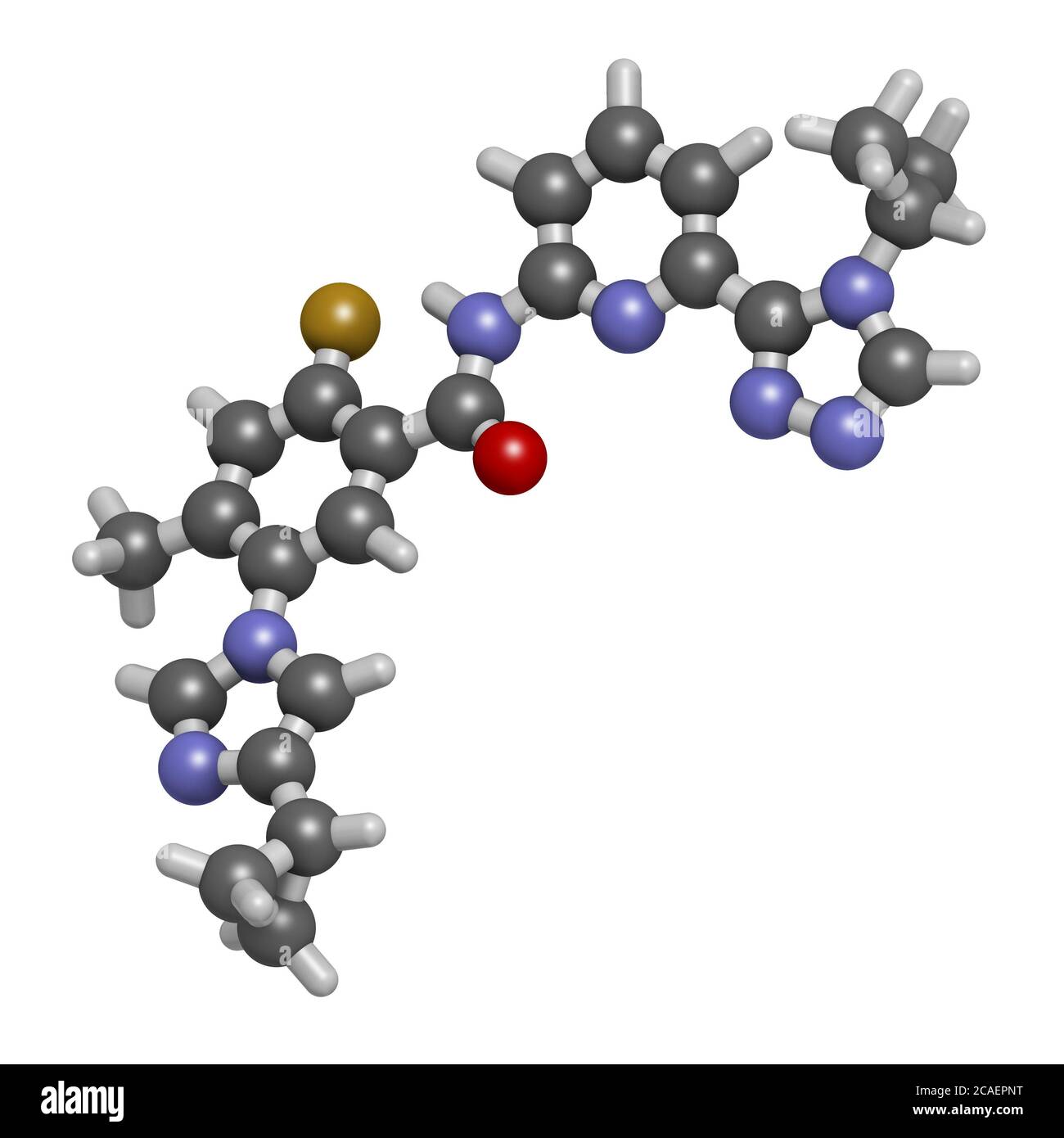 Fibroid hi-res stock photography and images - Alamy