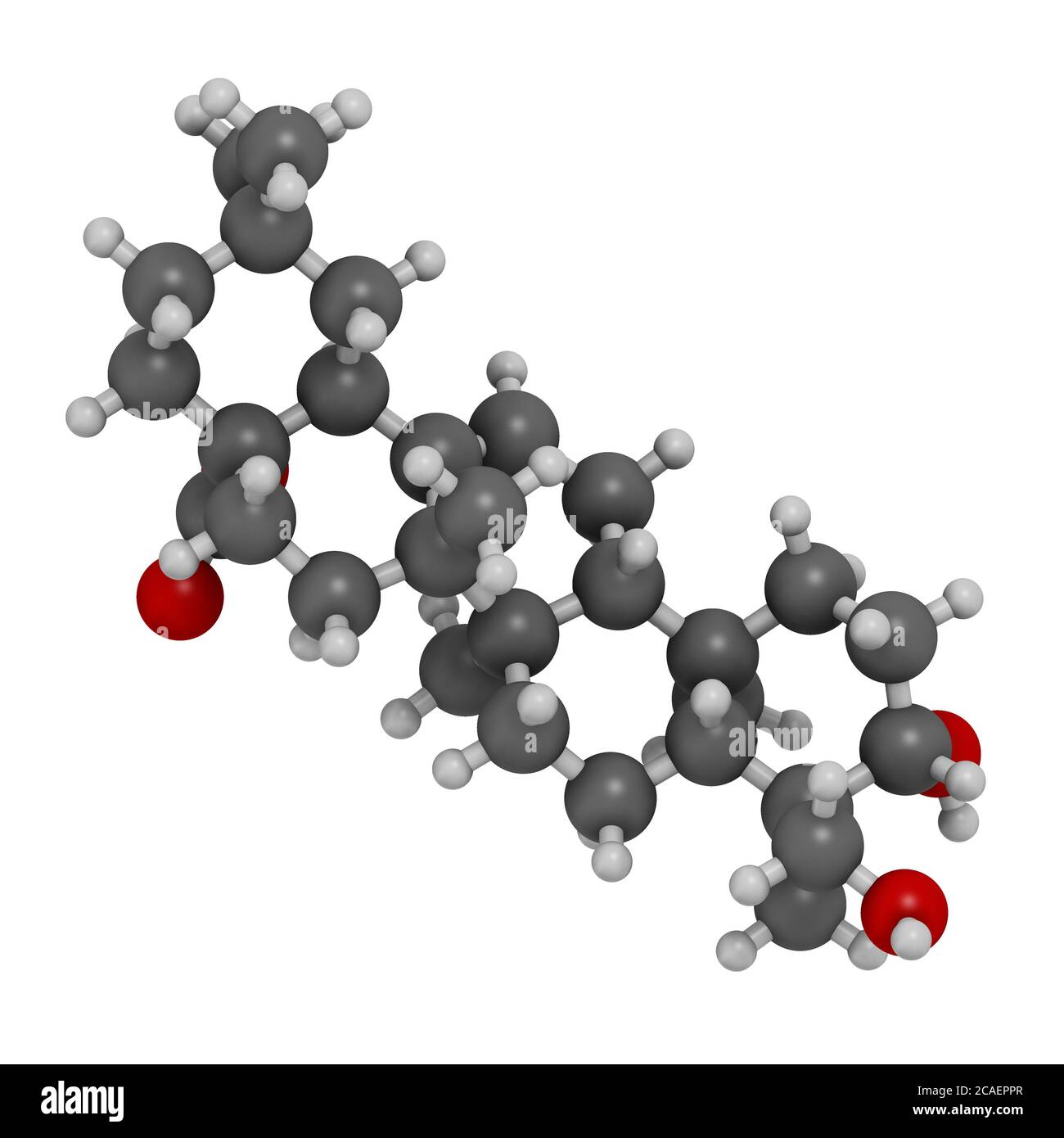 Hederagenin common ivy molecule. 3D rendering. Atoms are represented as ...