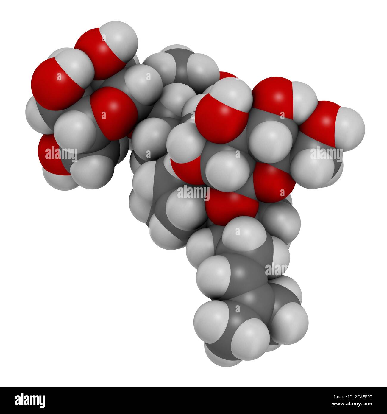 Ginsenoside rg1 ginseng molecule hi-res stock photography and images ...