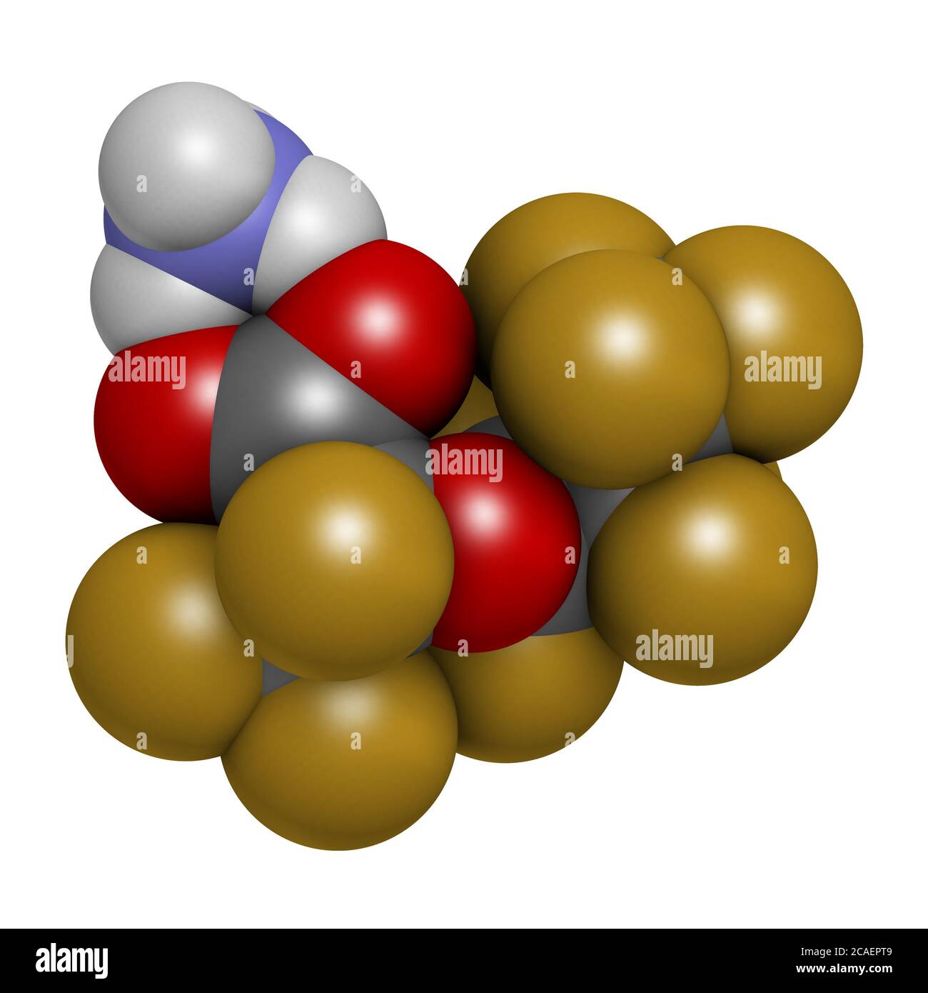 Genx Cut Out Stock Images & Pictures - Alamy