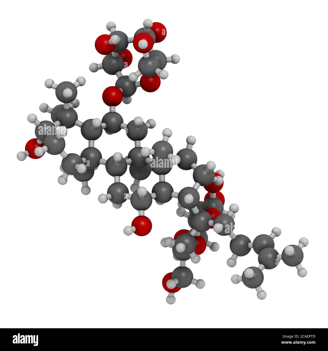 Ginsenoside Rg1 ginseng molecule. 3D rendering. Atoms are represented ...
