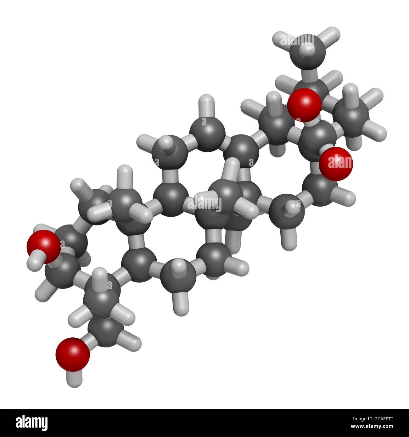 Hederagenin common ivy molecule. 3D rendering. Atoms are represented as ...