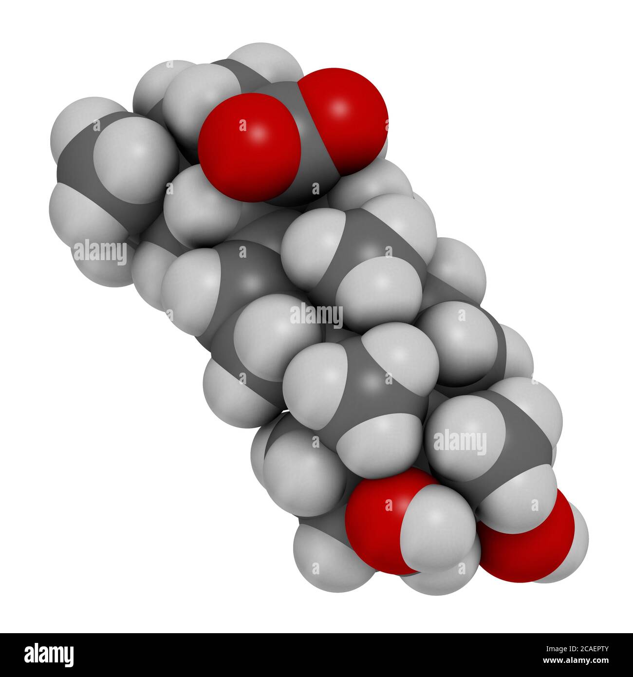 Hederagenin common ivy molecule. 3D rendering. Atoms are represented as ...