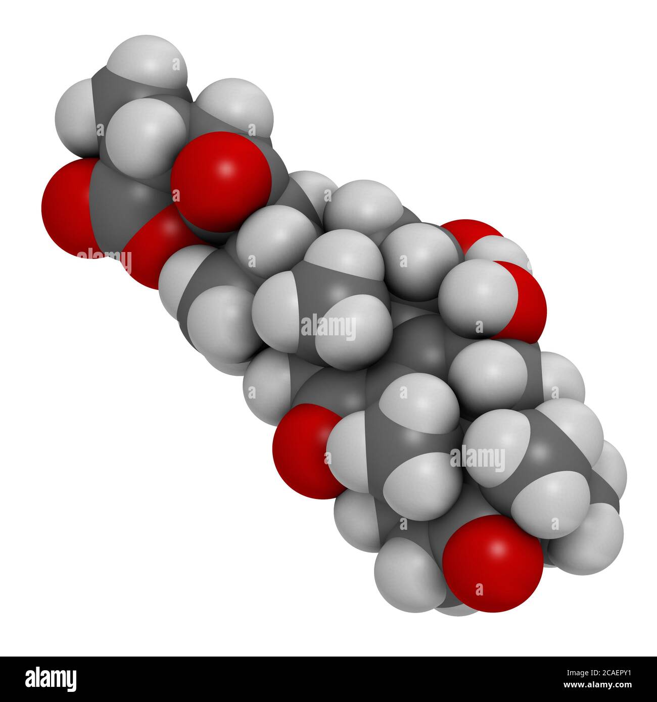 Ganoderic acid A molecule. Present in Ganoderma mushrooms. 3D rendering ...
