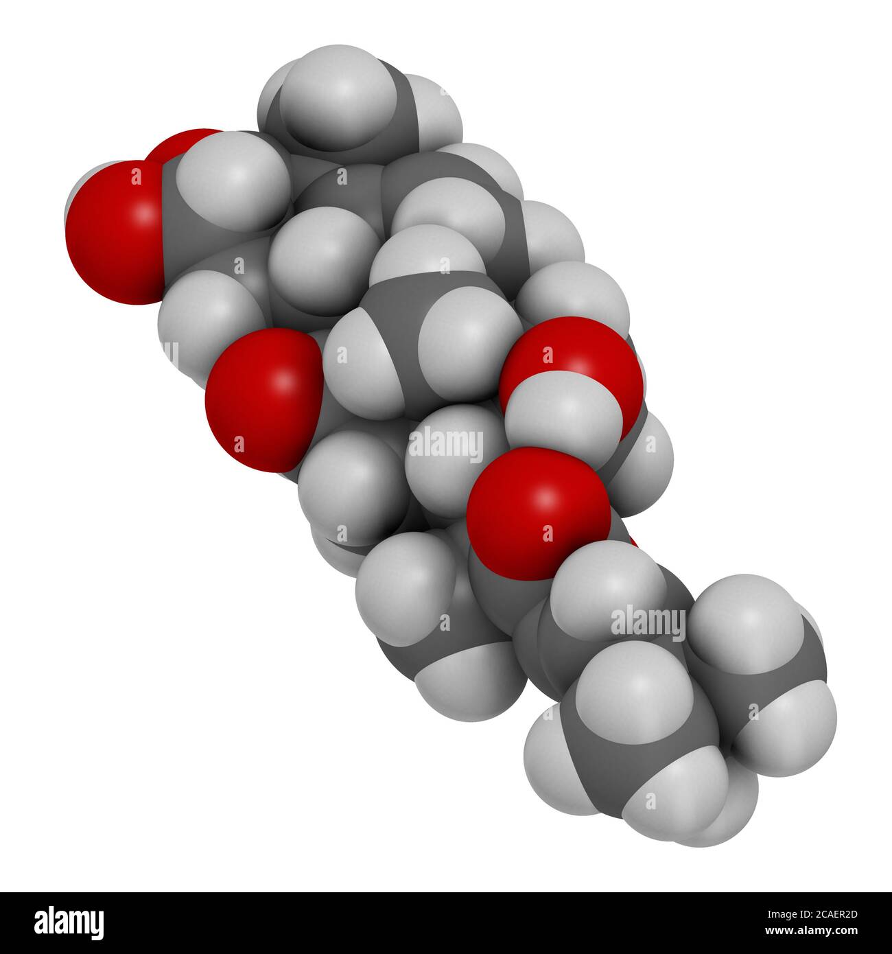 Cucurbitacin d hi-res stock photography and images - Alamy