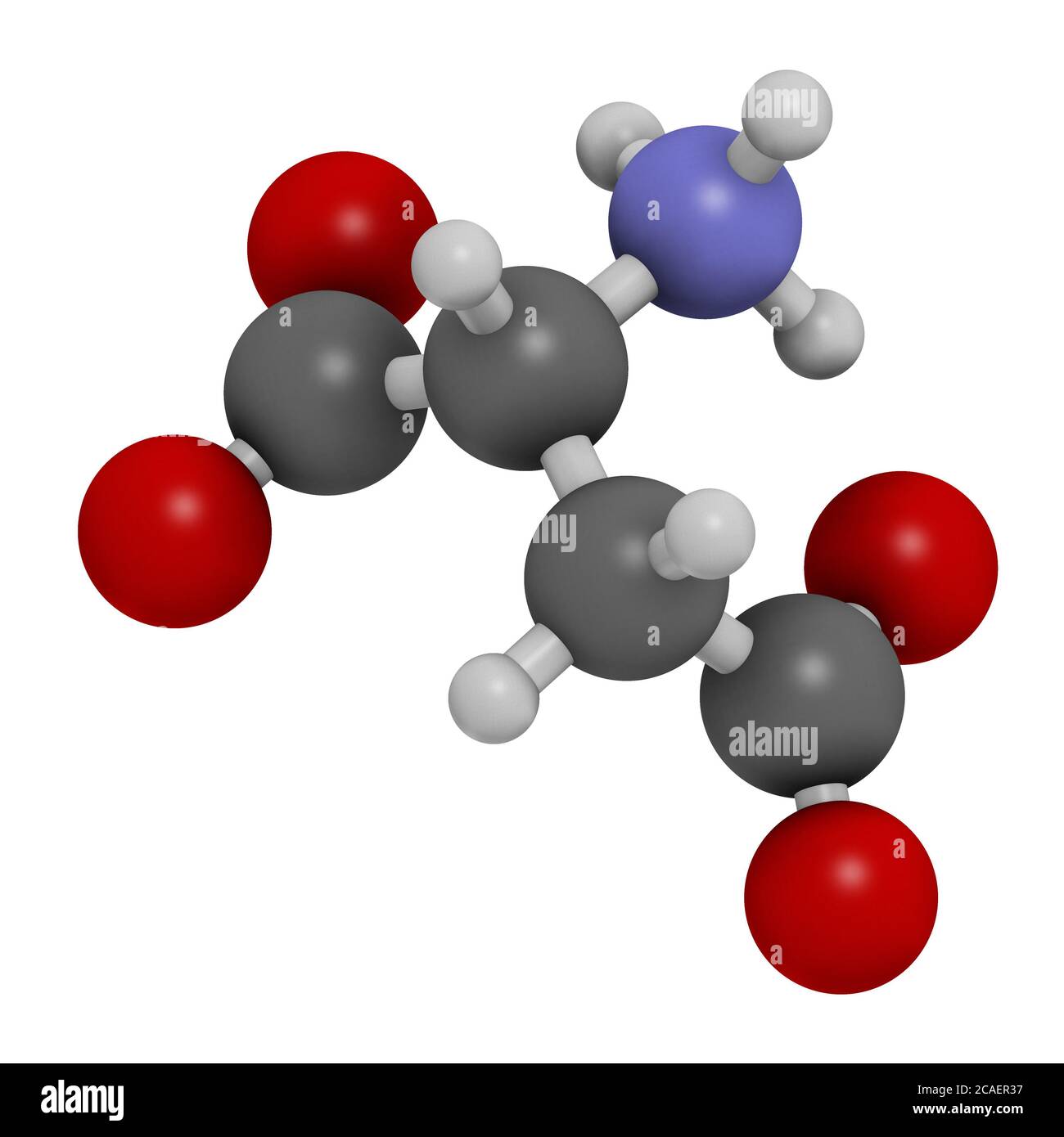 D-aspartic acid (D-aspartate) amino acid molecule. 3D rendering. Atoms ...