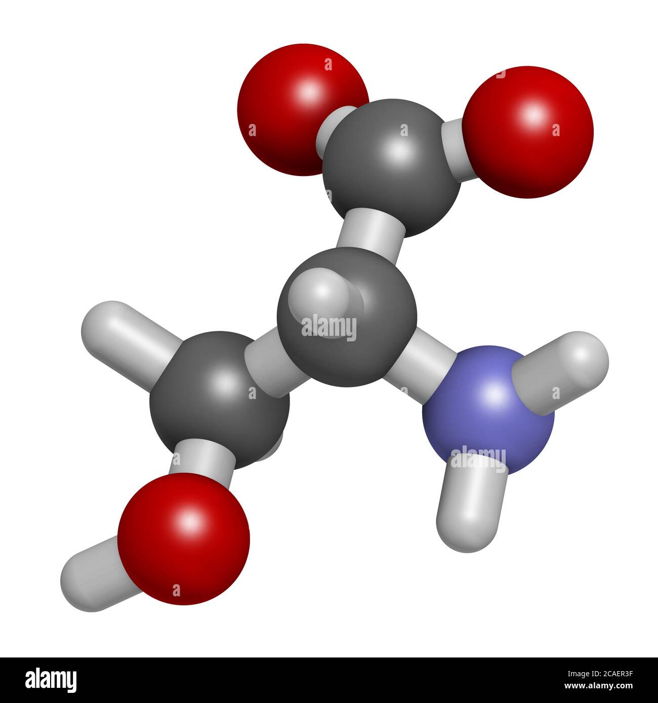 D-serine amino acid molecule. Enantiomer of L-serine. 3D rendering ...