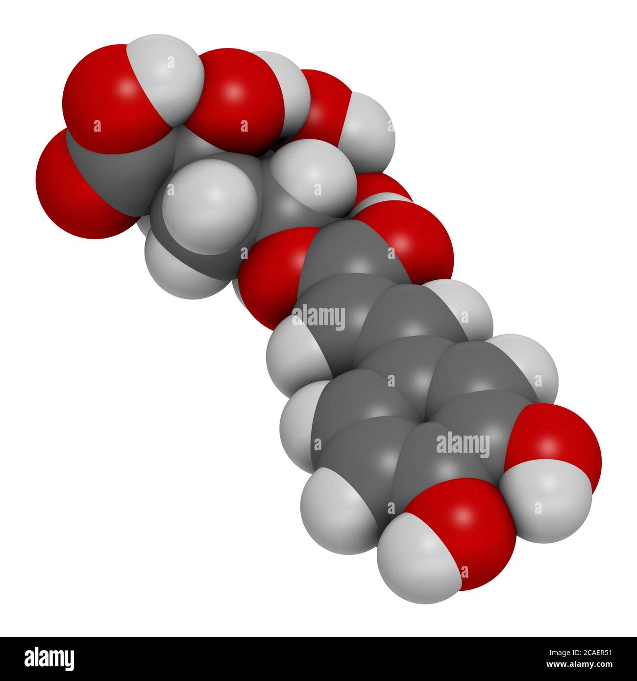 Chlorogenic acid herbal molecule. 3D rendering. Atoms are represented ...
