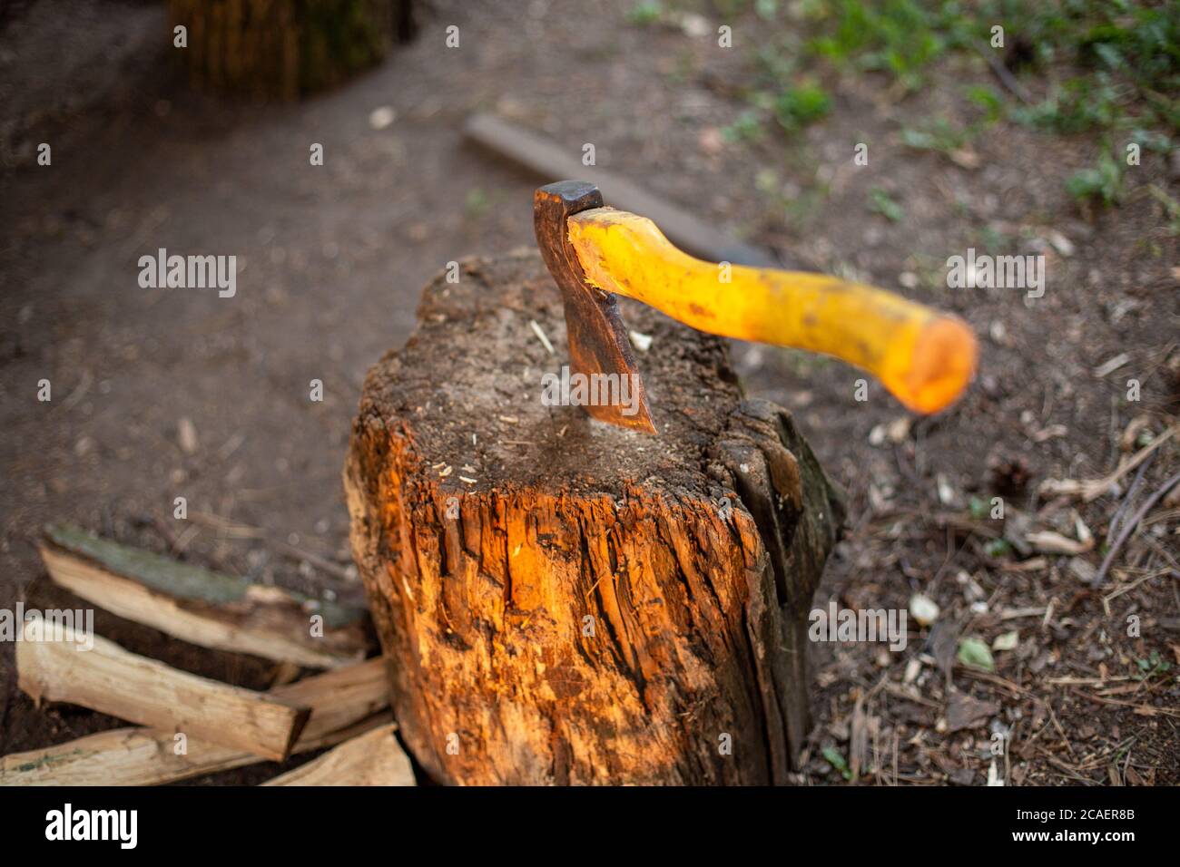Sharp axe in the cut wood on the ground Stock Photo - Alamy