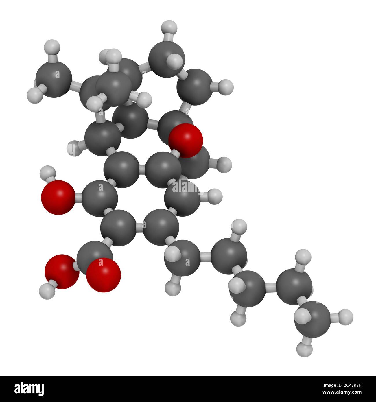 Cannabicyclolic acid cannabinoid molecule. 3D rendering. Atoms are ...