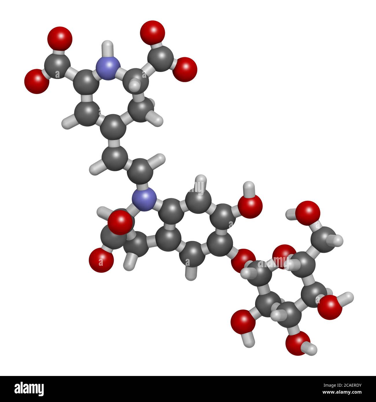 Betanin red plant pigment molecule hi-res stock photography and images ...