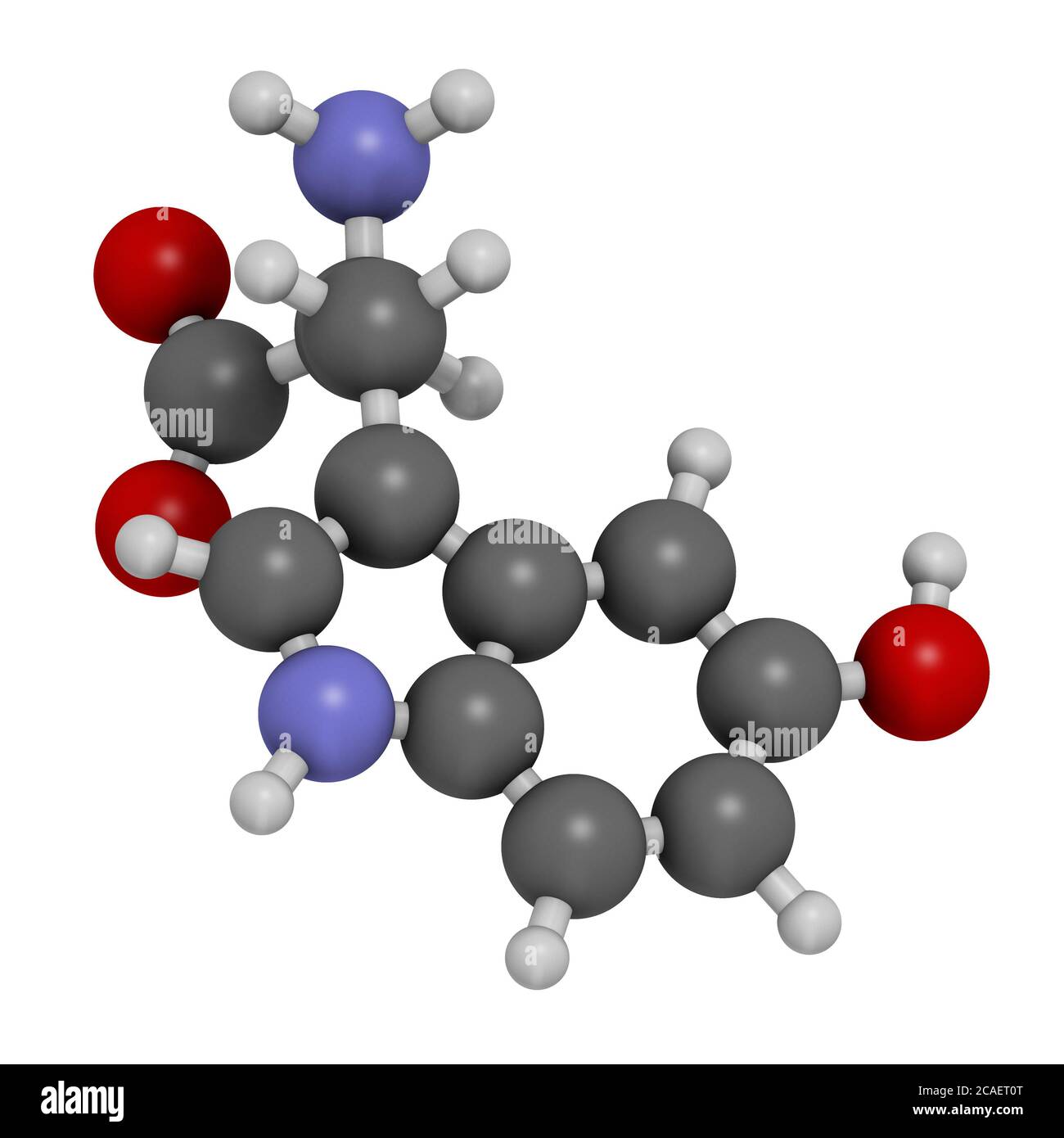 5-Hydroxytryptophan amino acid molecule. 3D rendering. Atoms are ...
