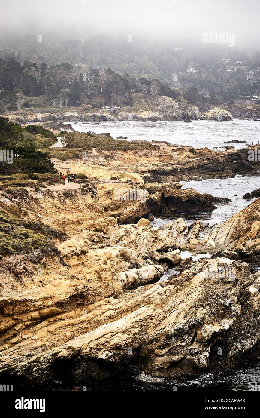 Vertical shot of a beautiful shore of Point Lobos State Natural Reserve ...