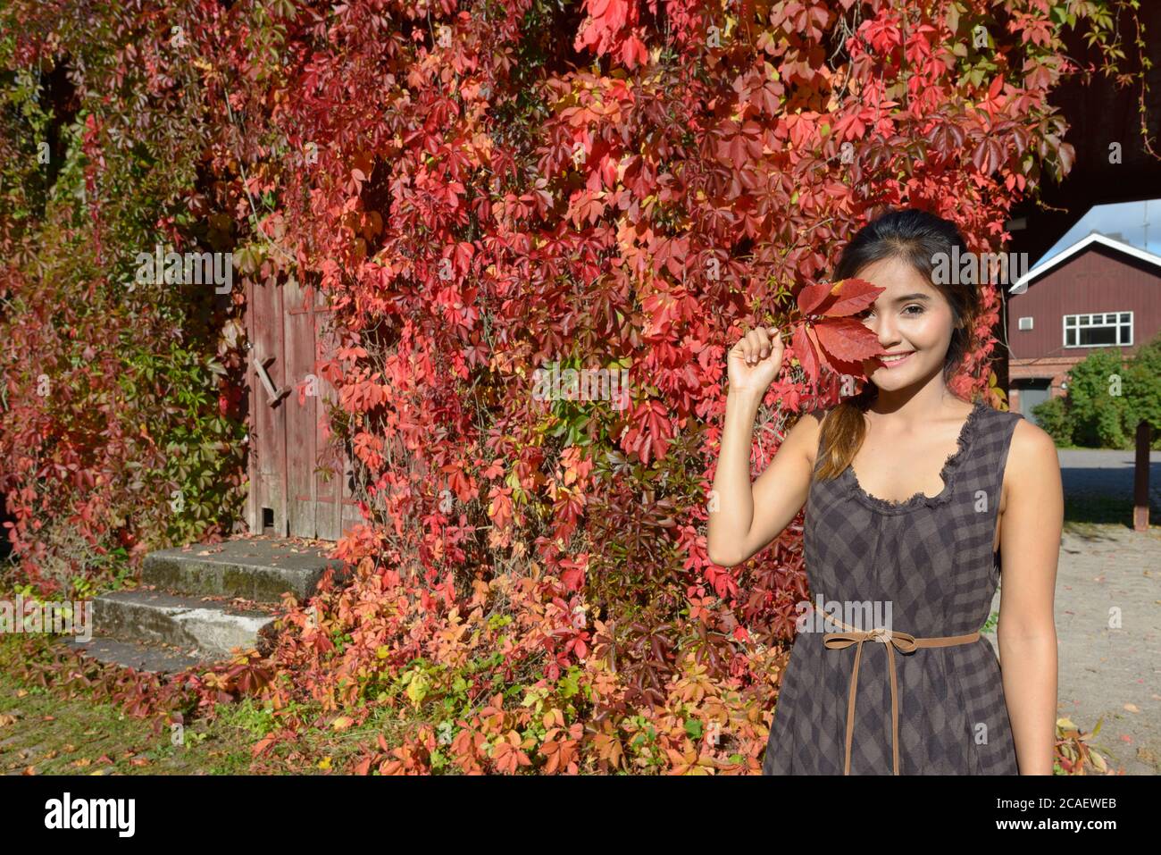 Beautiful young woman covered face hi-res stock photography and images ...