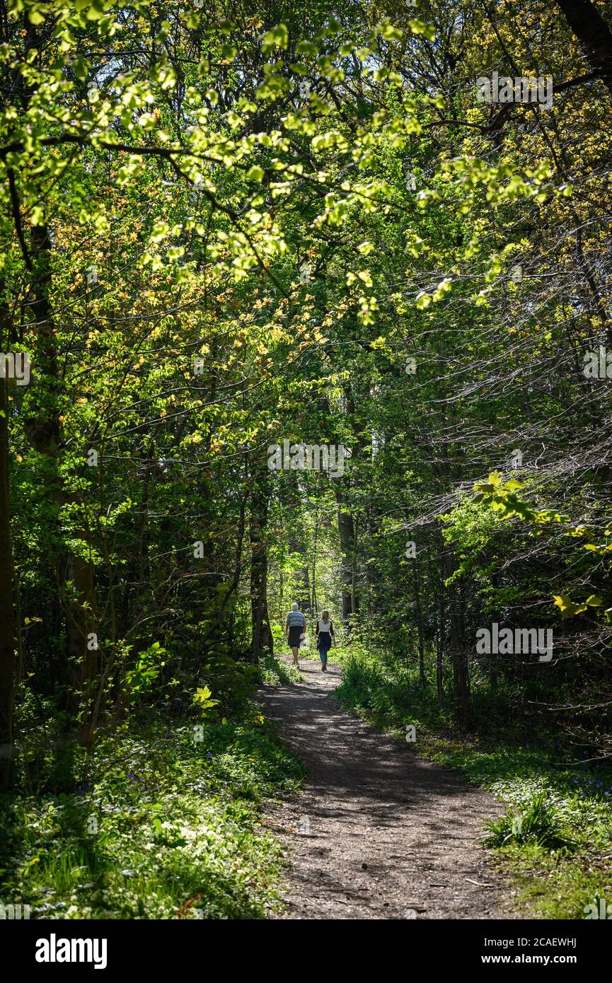 Worsley forest hi-res stock photography and images - Alamy