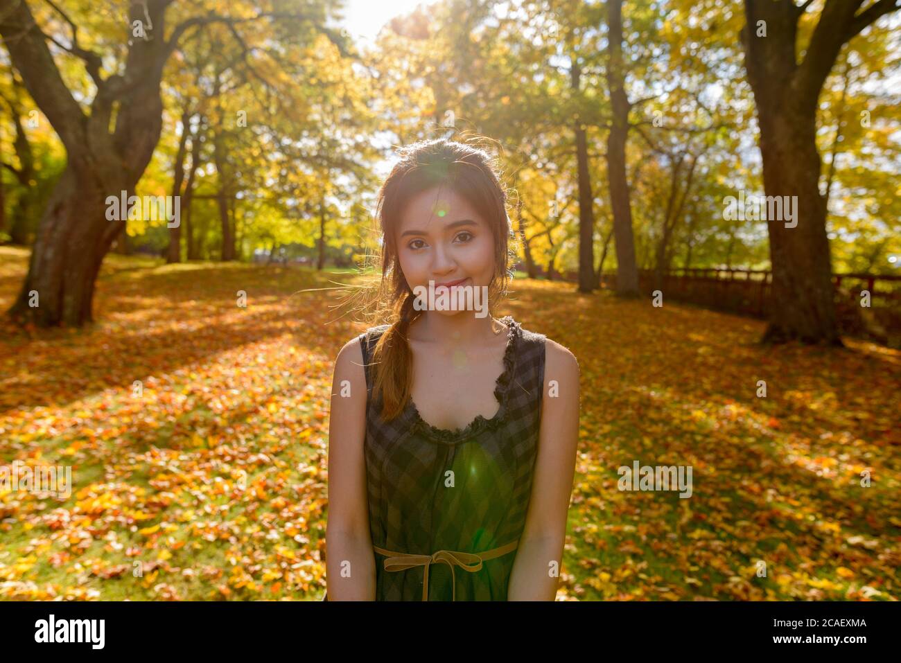 Asian trees hi-res stock photography and images - Alamy