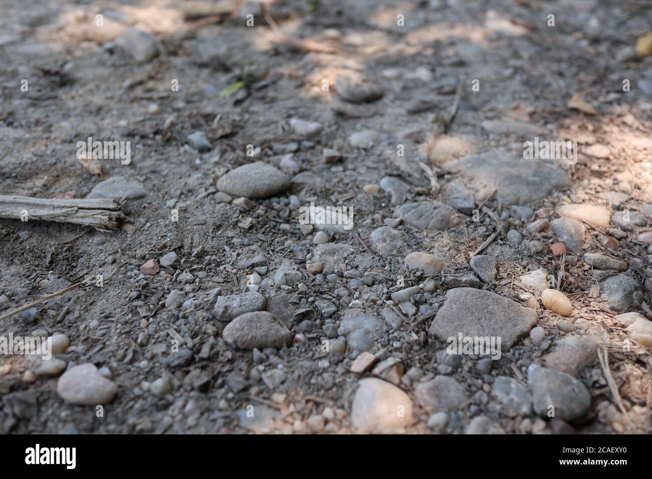 Dirt floor texture hi-res stock photography and images - Alamy