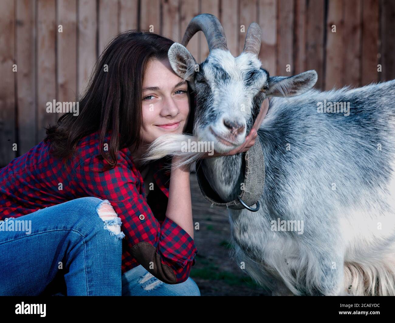 Portrait of a girl with a goat Stock Photo - Alamy