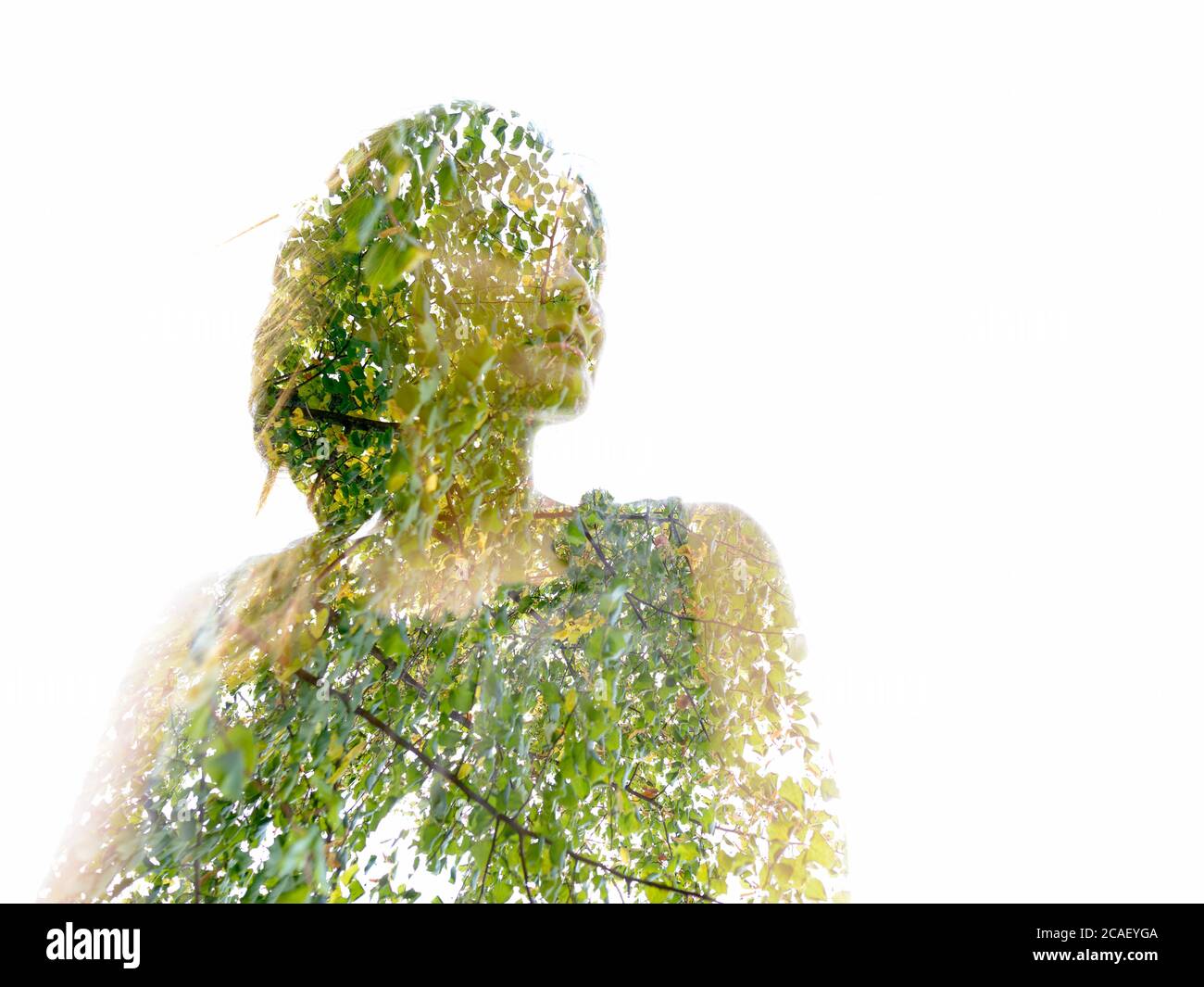 Woman trees double exposure hi-res stock photography and images - Alamy