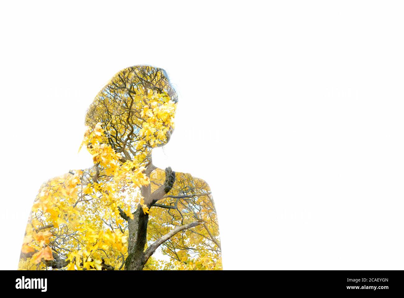 Double exposure woman tree hi-res stock photography and images - Alamy