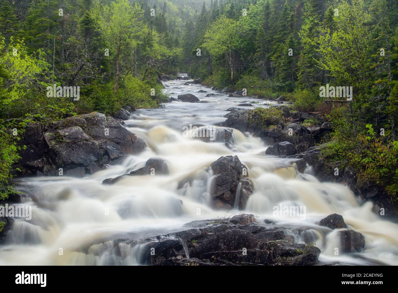 St anthony newfoundland hi-res stock photography and images - Alamy