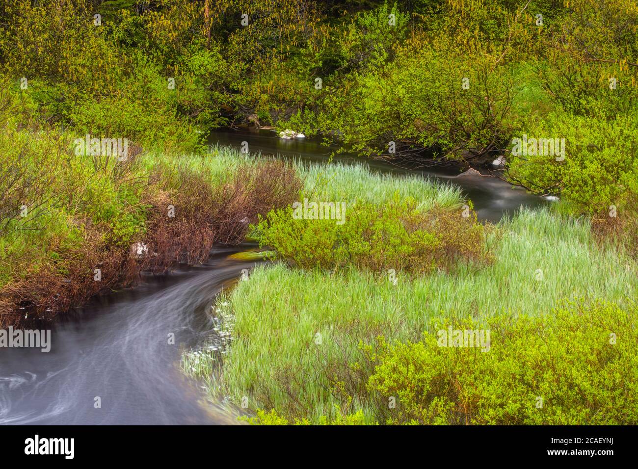 St anthony newfoundland hi-res stock photography and images - Alamy