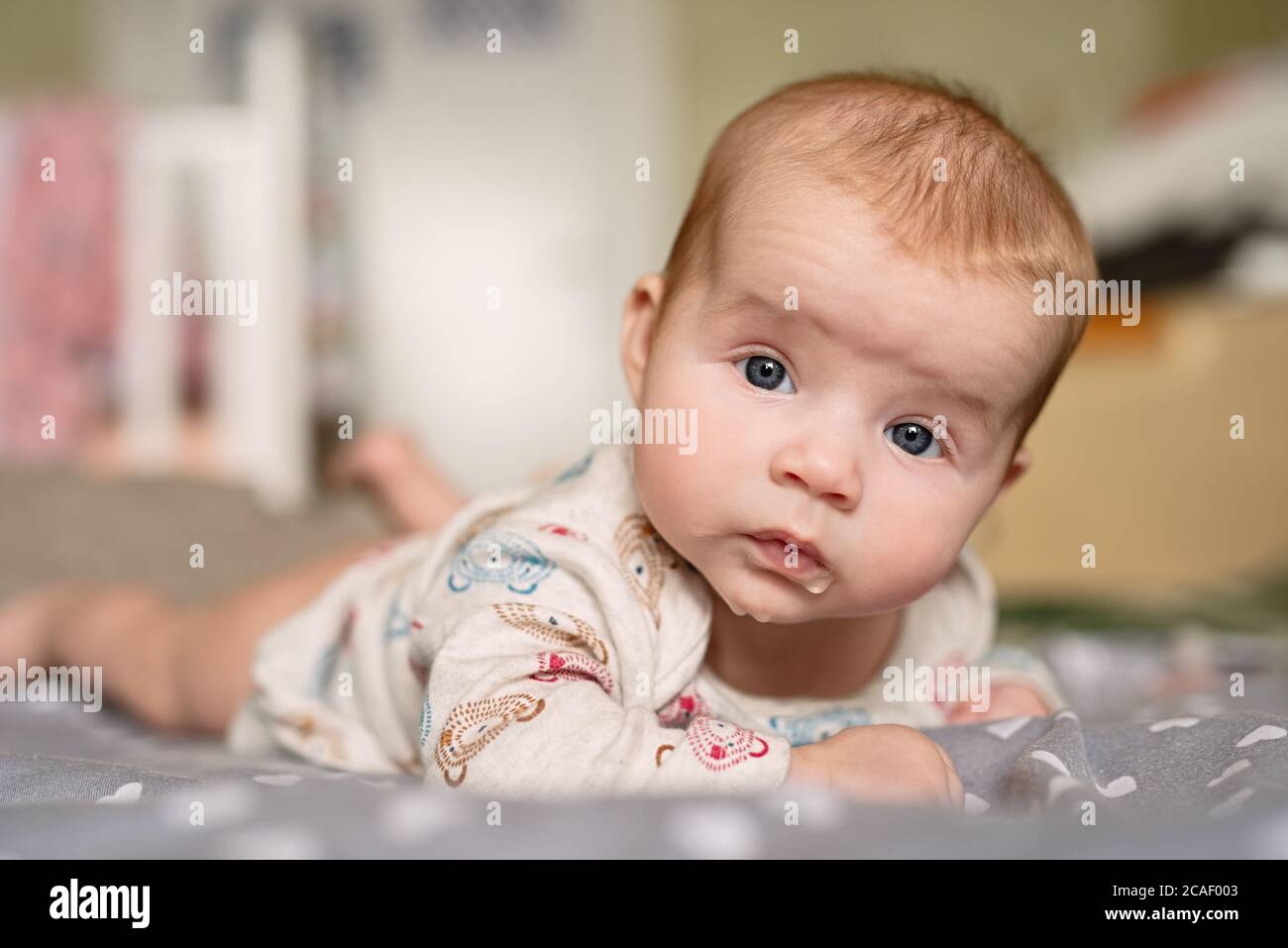 newborn baby lies on his stomach, keeps his head on weight, drooling ...