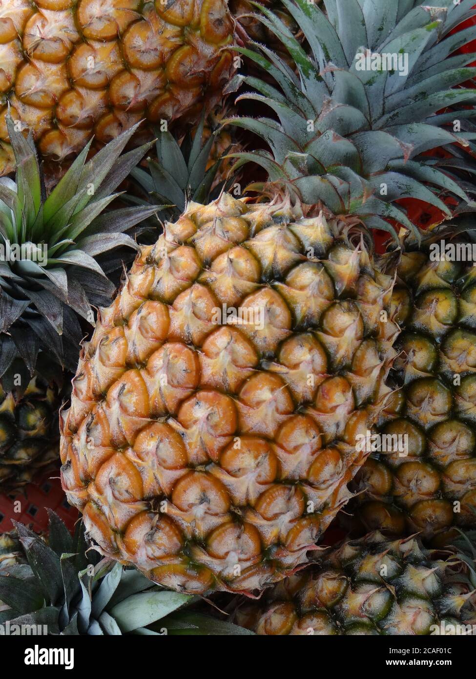 Bunch of pineapples hi-res stock photography and images - Alamy