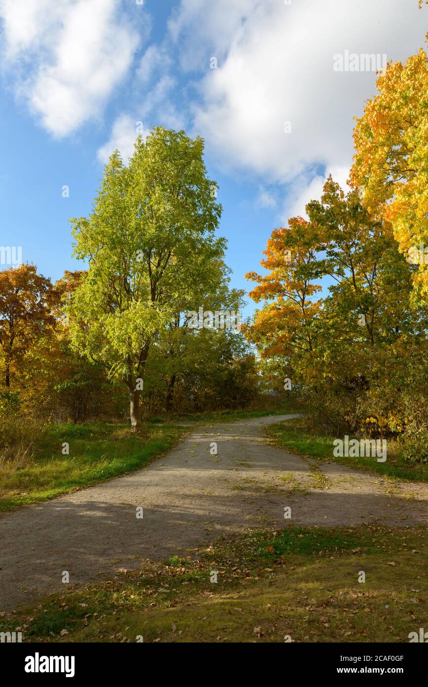 Season trees environment hi-res stock photography and images - Alamy