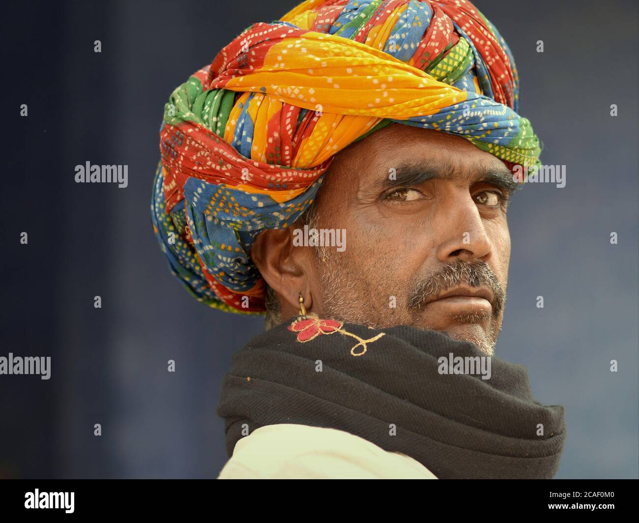 Handsome, middle-aged Indian Rajasthani man with colourful Rajasthani ...