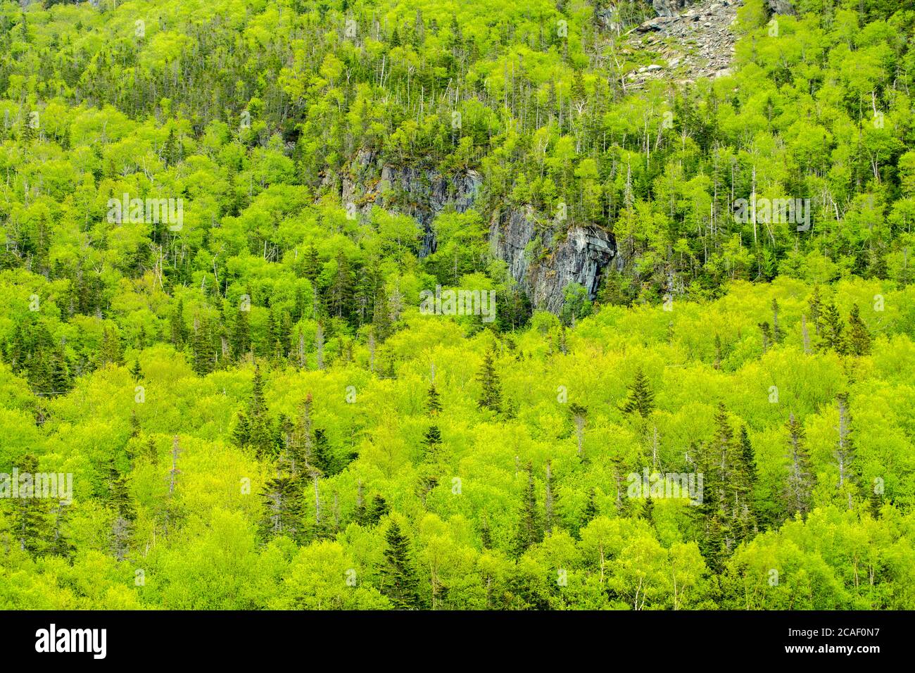 Labrador canada mountains hi-res stock photography and images - Alamy