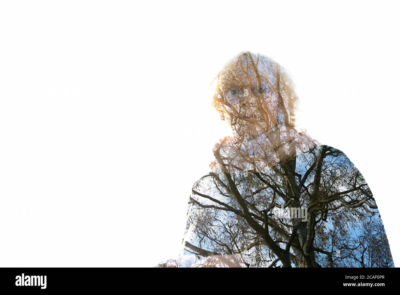 Double exposure of senior woman and branches of tall deciduous tree ...