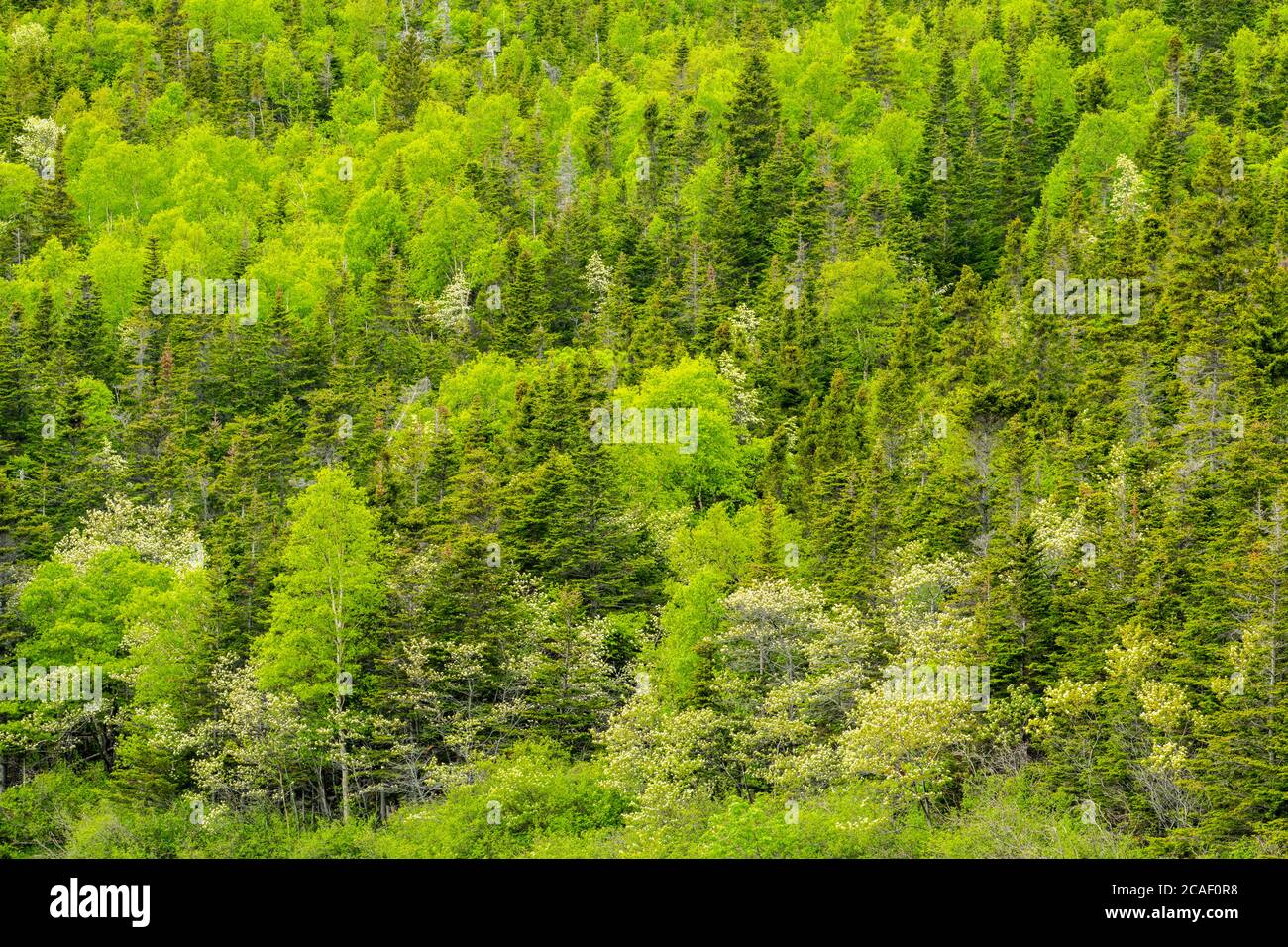 Hiillsides hi-res stock photography and images - Alamy