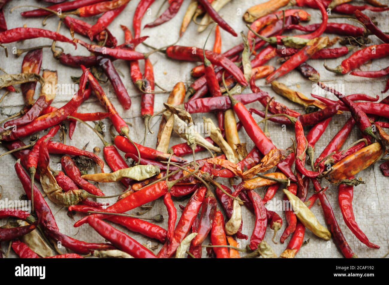 Close up shot of dry chilli pepper on a grey surface in Nepal Stock ...